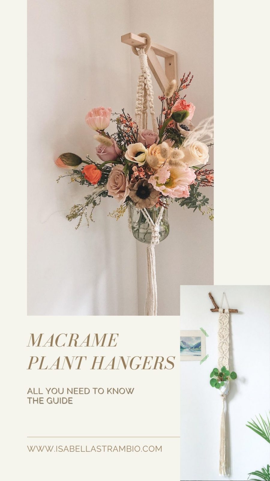 Macrame Plant Hangers: all you need to know - Isabella Strambio Blog